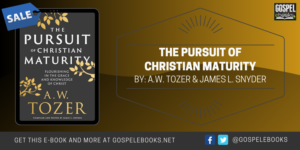 The Pursuit of Christian Maturity: Flourishing in the Grace and ...